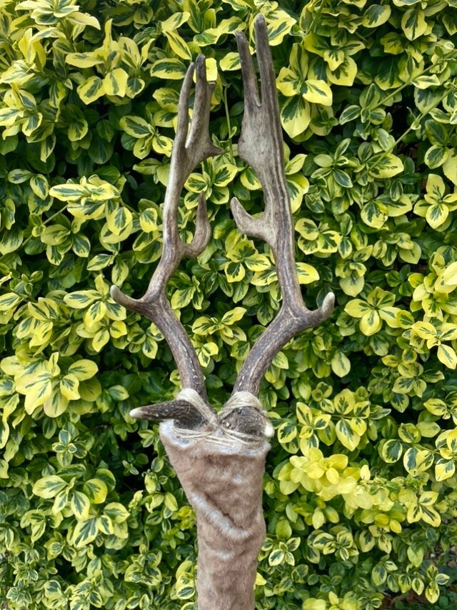 Deer Antler Wizard Staff Walking Stick Cane Mage Magic - Etsy