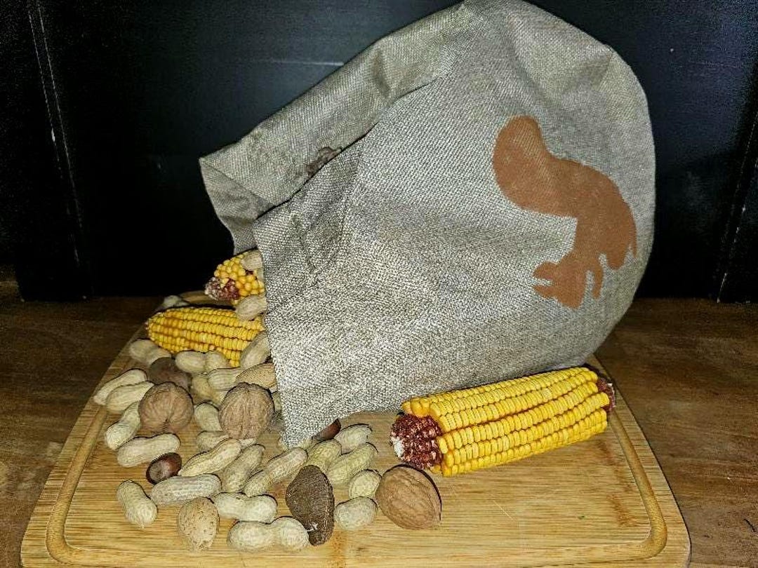 Crazy Squirrel Snack Mix in Reusable Burlap Squirrel Bag - Etsy