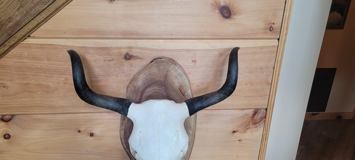 Yak Skull, Large Yak Skull on Walnut Slab, Buffalo Skull - Etsy
