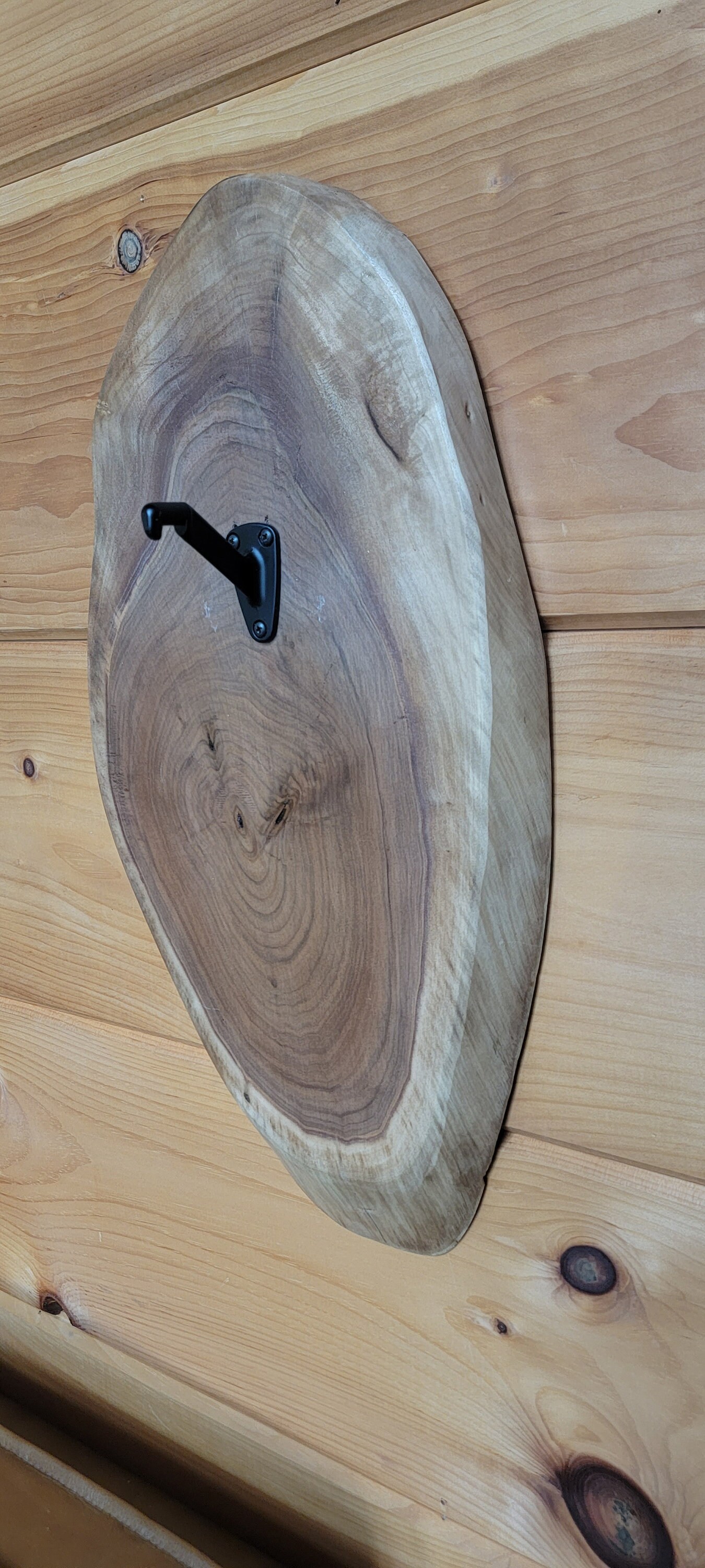 Yak Skull, Large Yak Skull on Walnut Slab, Buffalo Skull - Etsy