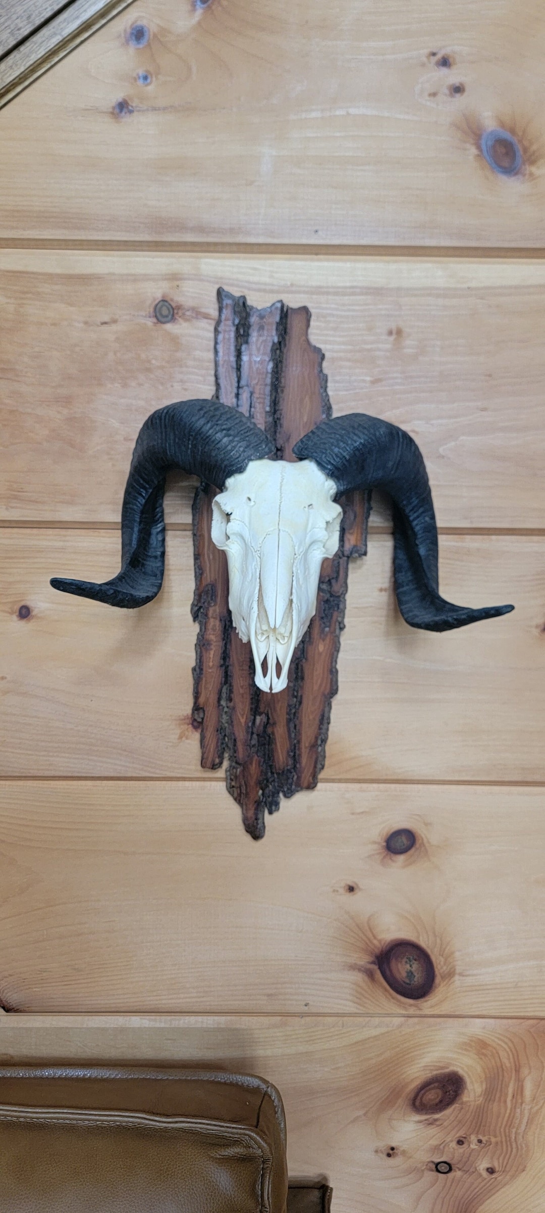 Ram Skull on Drift Wood, Ram Skull Art - Etsy