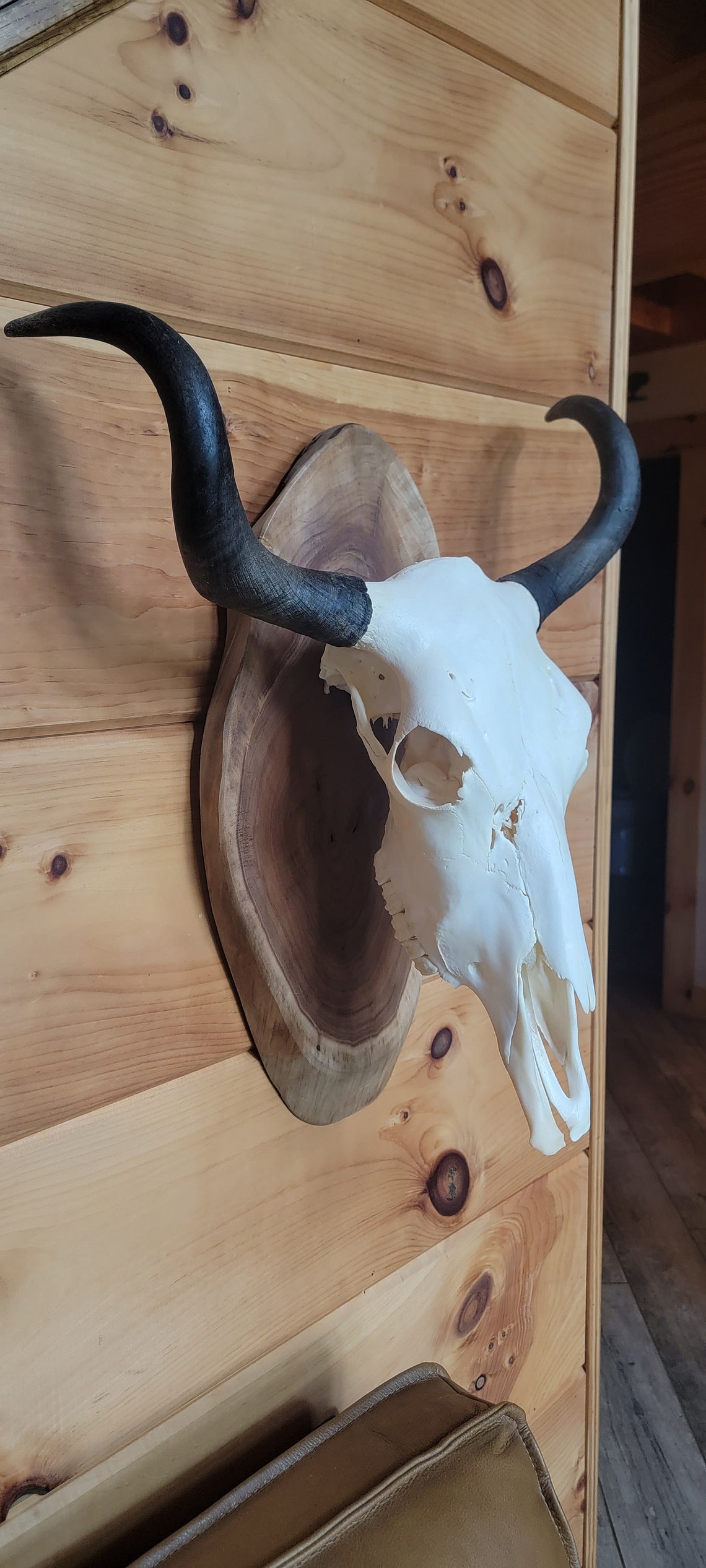 Yak Skull, Large Yak Skull on Walnut Slab, Buffalo Skull - Etsy