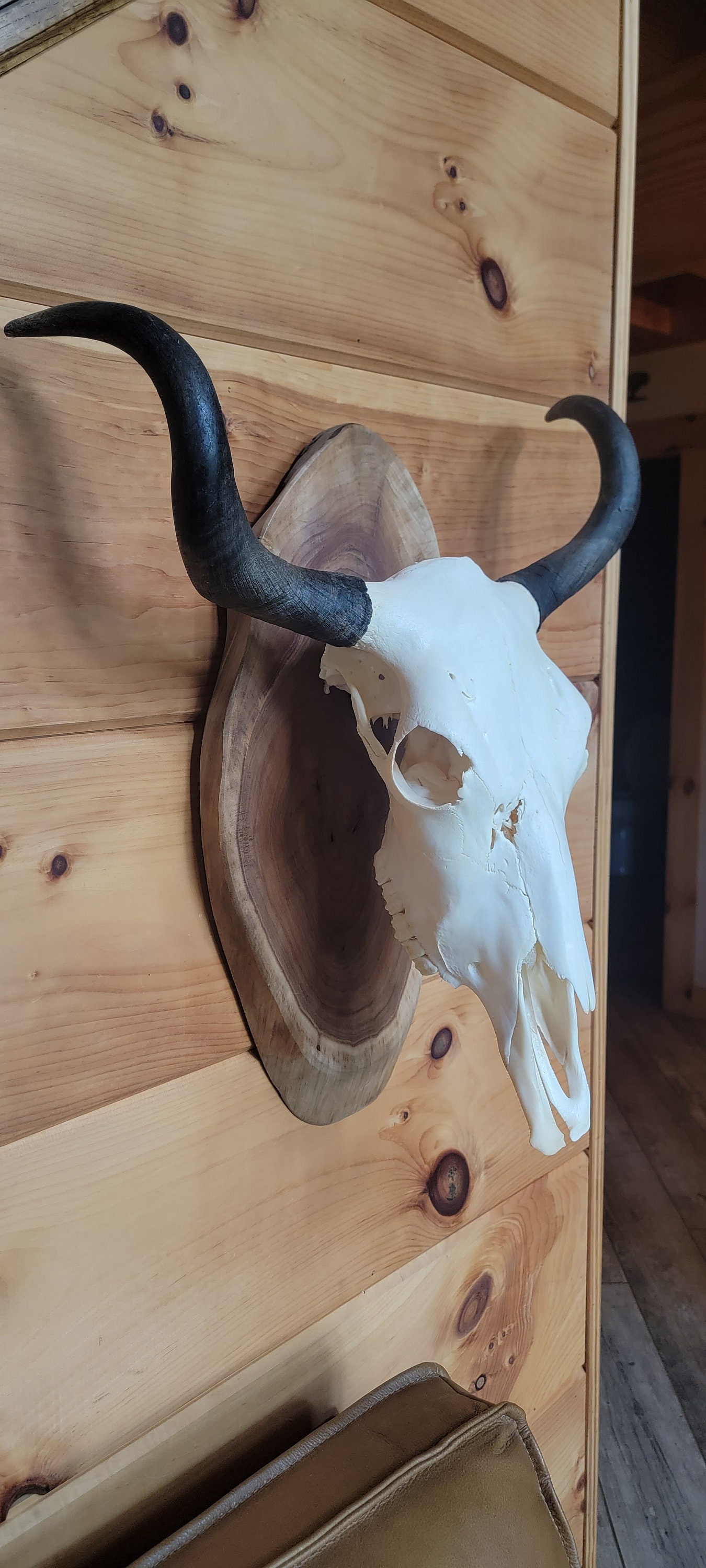 Yak Skull, Large Yak Skull on Walnut Slab, Buffalo Skull - Etsy