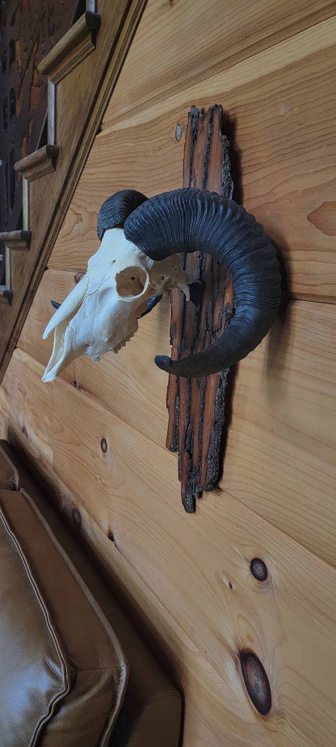 Ram Skull on Drift Wood, Ram Skull Art - Etsy