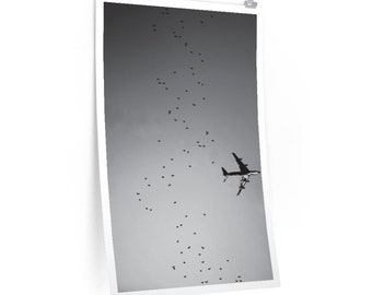 Bird Migration Poster - Etsy