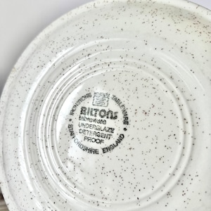 Vintage BILTONS Staffordshire England Ironstone Tableware 1970s Delilah ...