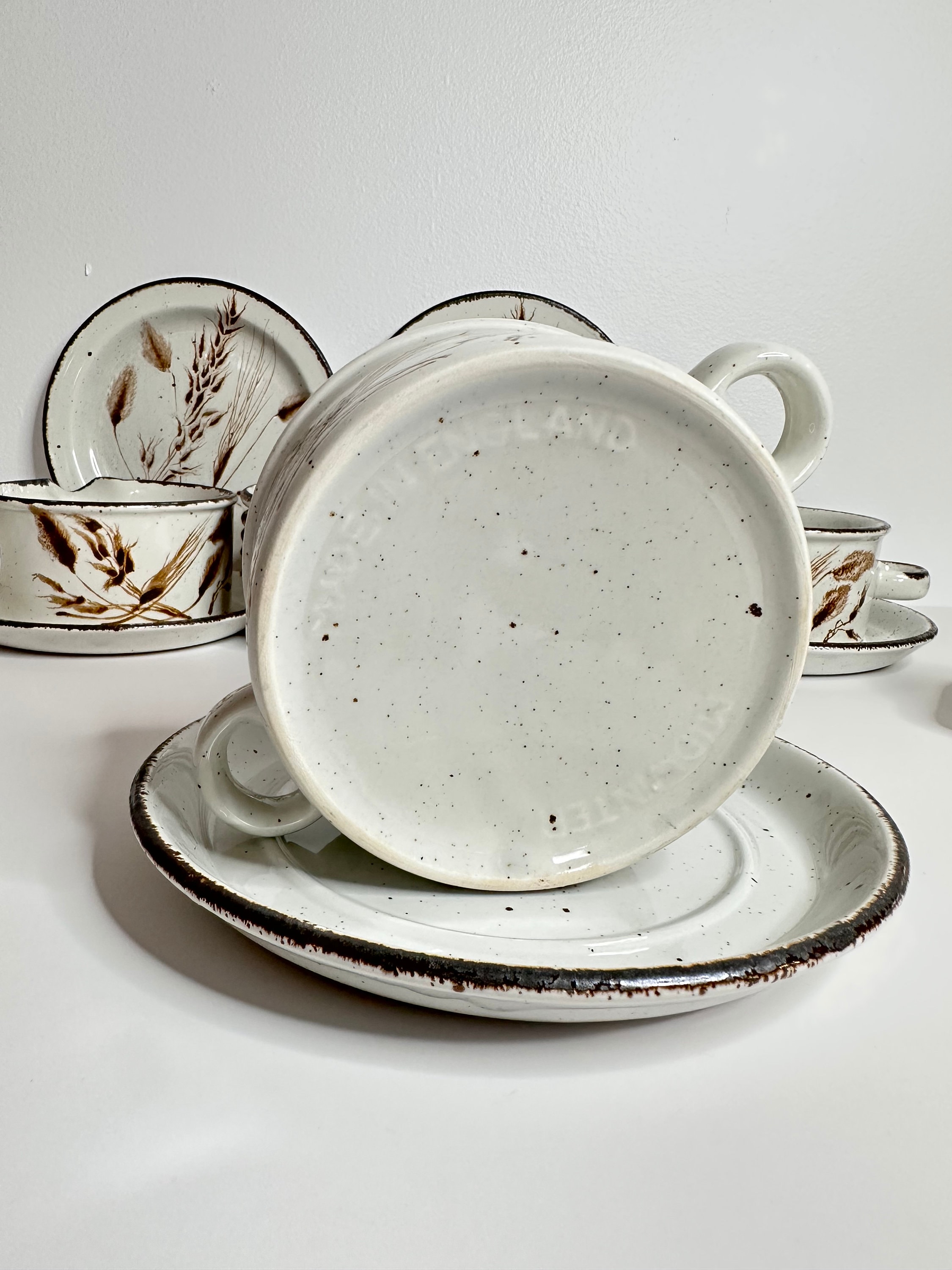 1970s Stonehenge Midwinter Wild Oats Ironstone Dinnerware Made in ...