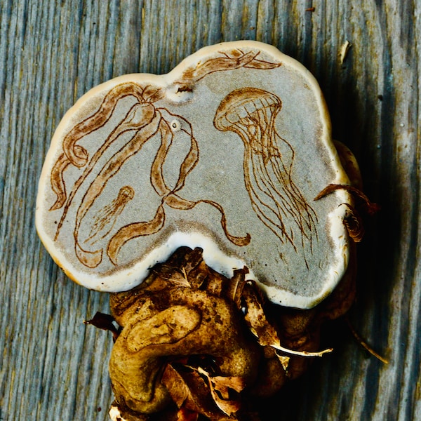 Kelp Forest Art - Etsy