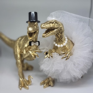 Bride and Groom Dinosaur Wedding Decoration - Etsy