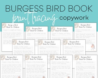 Burgess Bird Book - Etsy