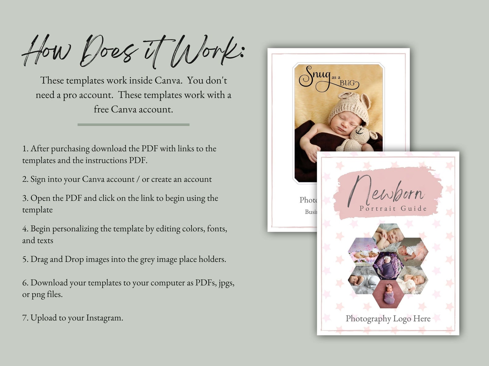 Canva Newborn Portrait Welcome Guide, Newborn Portrait Session, Newborn ...