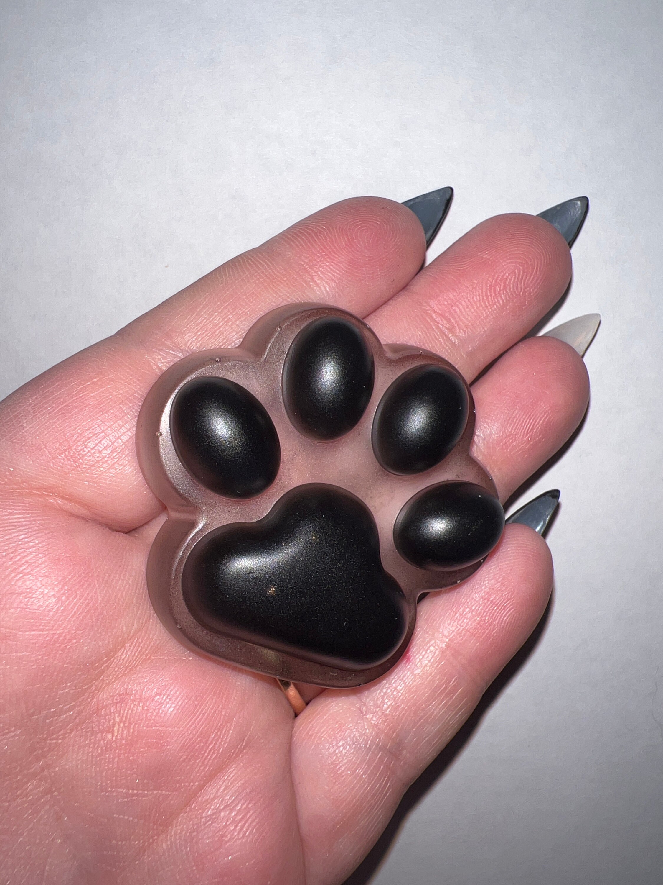 Personalized Paw Print Resin Models - Etsy