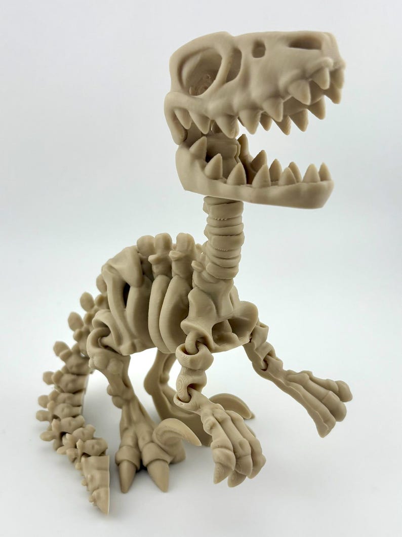 3d Printed Articulated Flexi Raptor - Etsy