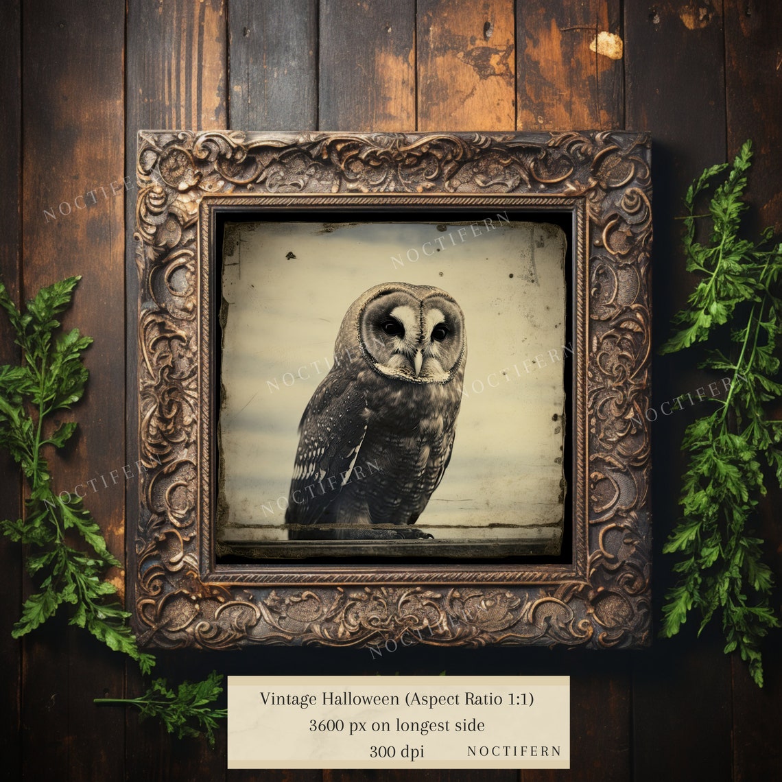 Vintage Halloween Printable Set of 6 Dark Academia Halloween Prints ...