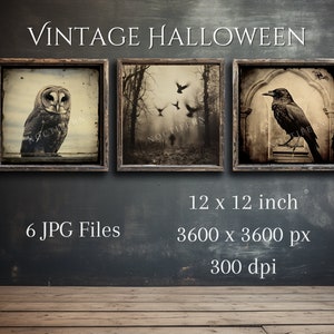 Vintage Halloween Printable | Set of 6 Dark Academia Halloween Prints ...