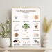 School Psychologist Office Poster - Etsy