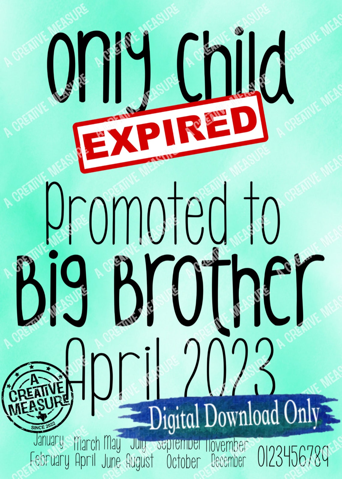 Only Child Expired Promoted to Big Brother Svg / Personalized - Etsy