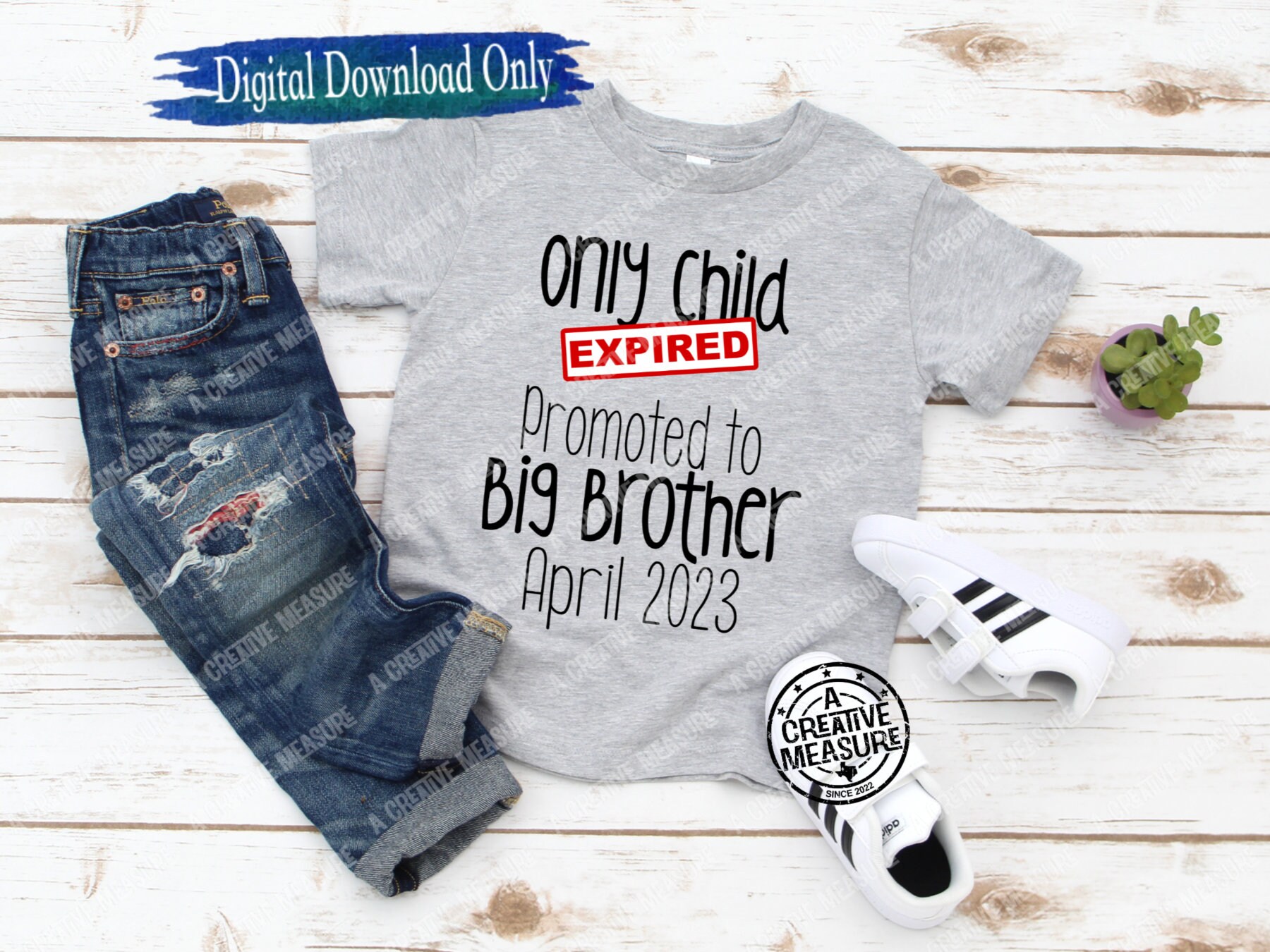 Only Child Expired Promoted to Big Brother Svg / Personalized - Etsy
