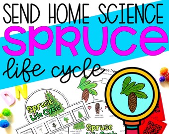 Christmas Tree Life Cycle - Etsy