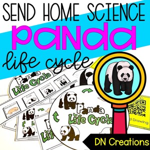 Panda Life Cycle L Panda Bear Science Activities L Panda Posters L ...