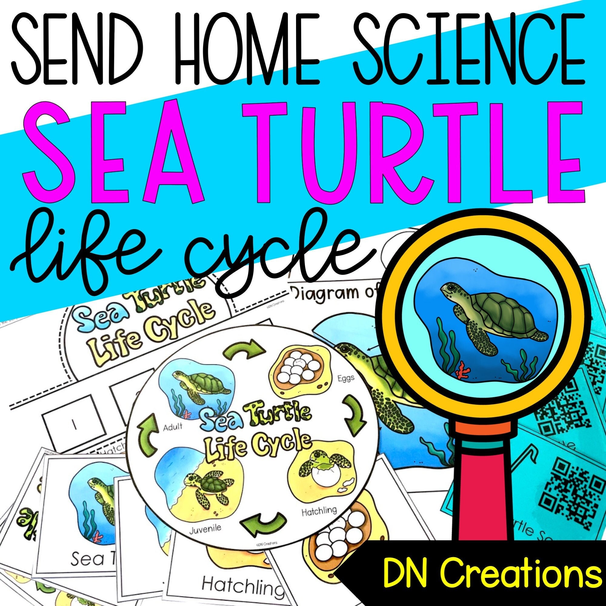 Sea Turtle Life Cycle L Turtle Science Activities L Turtle - Etsy