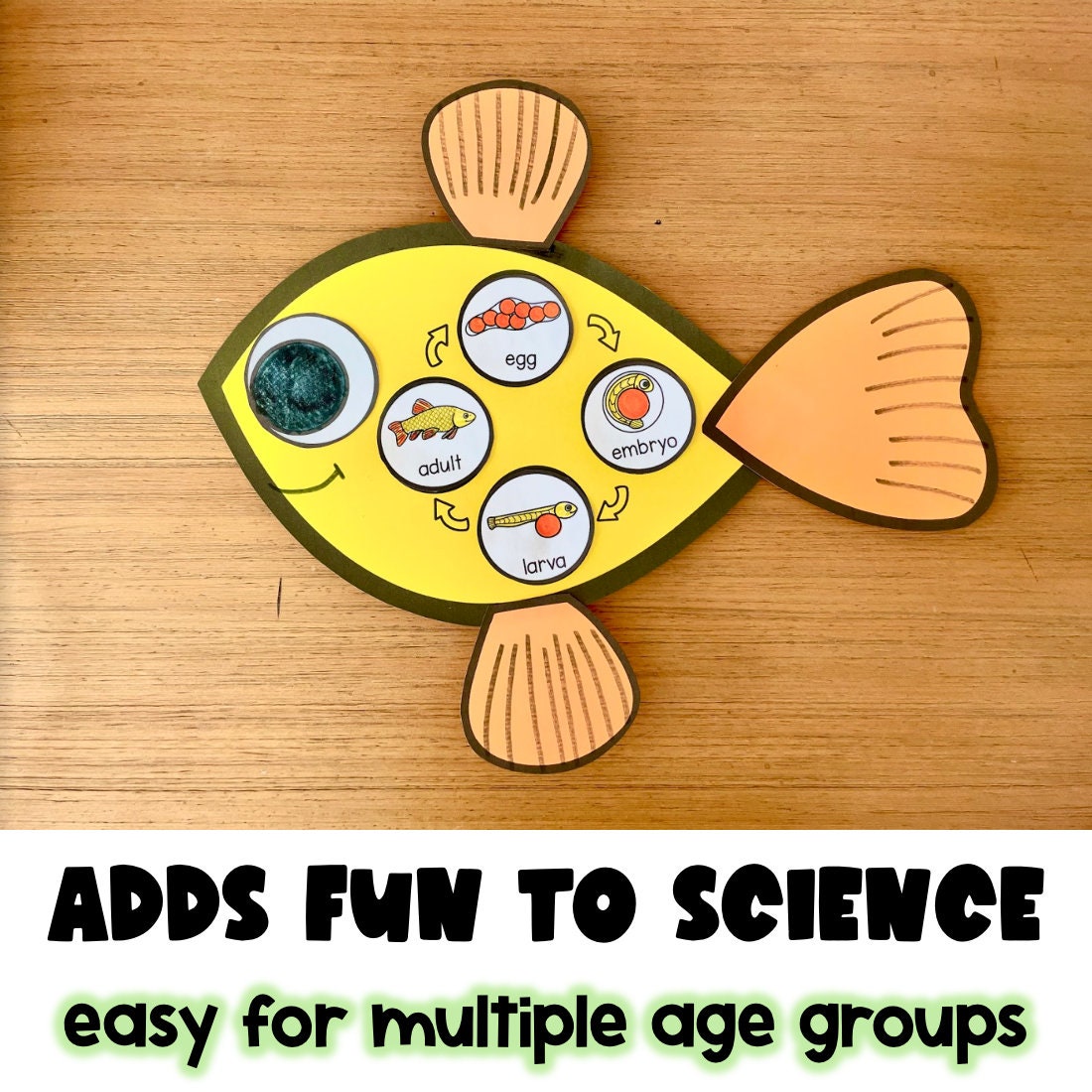 Fish Life Cycle Craft L Fish Science Craft L Fish Craft for Preschool ...