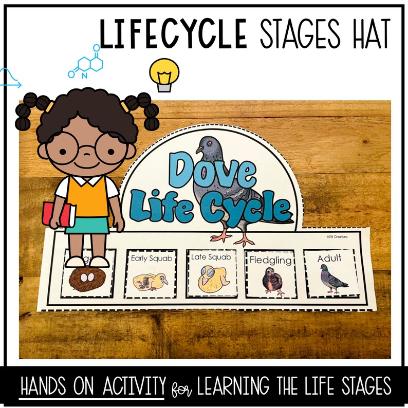 Dove Life Cycle L Bird Science Activities L Science Posters L - Etsy