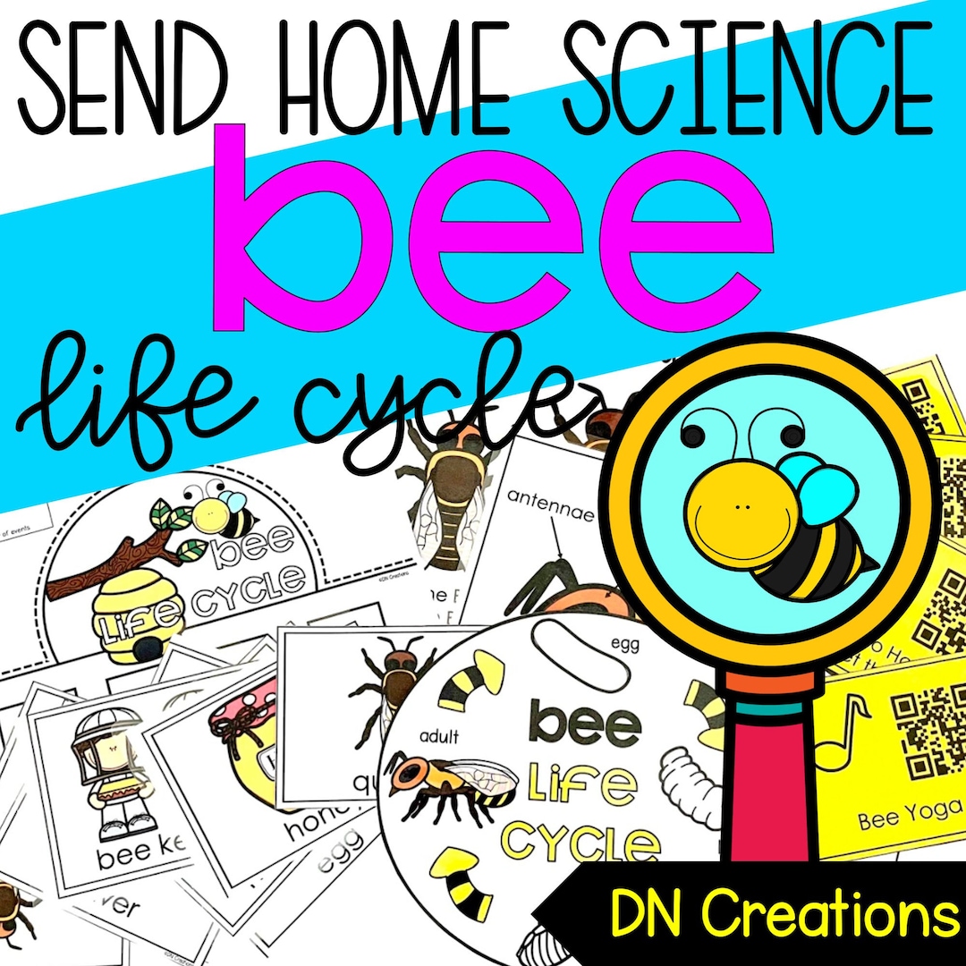 Bee Life Cycle L Honey Bee Science Activities L Science - Etsy