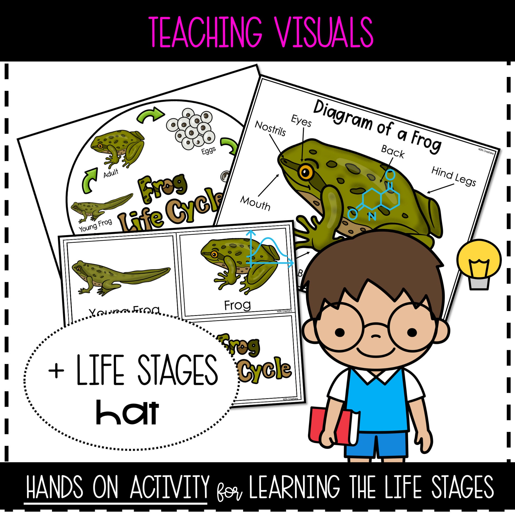 Frog Life Cycle L Frog Science Activities L Frog Posters L Science Unit ...
