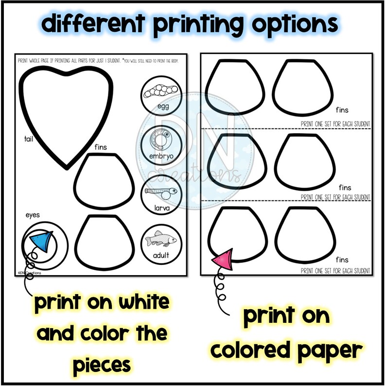 Fish Life Cycle Craft L Fish Science Craft L Fish Craft for Preschool ...