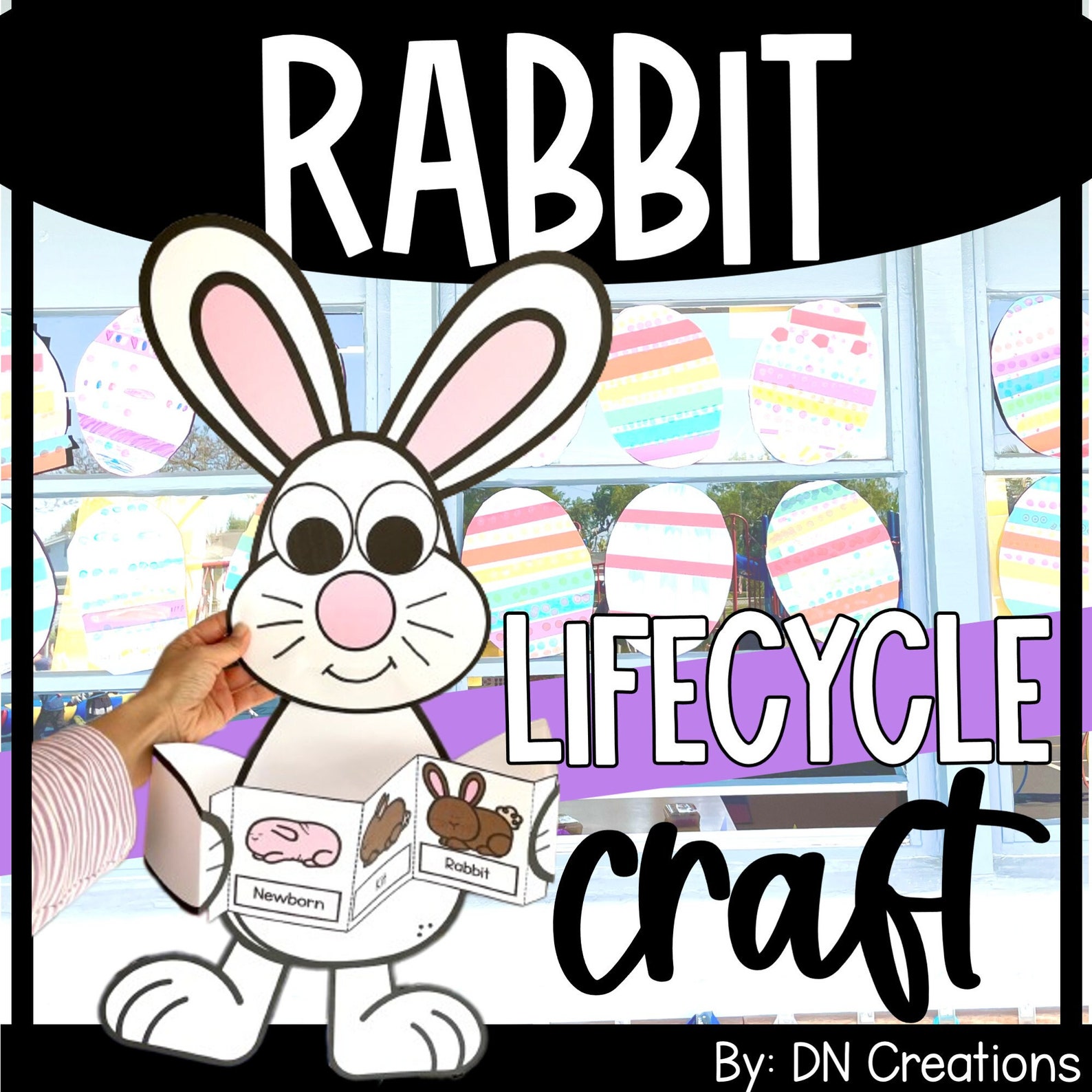 Rabbit Life Cycle Paper Craft: Easter Science Lesson (PDF) - Etsy