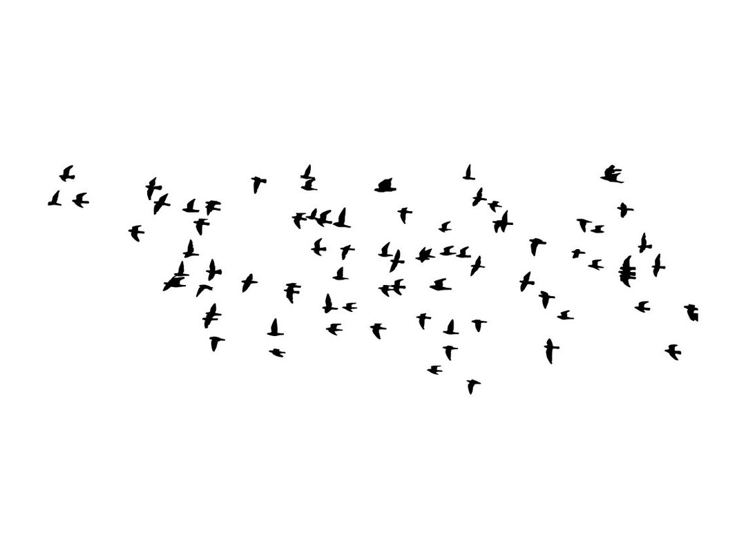 Flock of Birds SVG, Birds SVG, Birds Clipart, Birds Files for Cricut ...