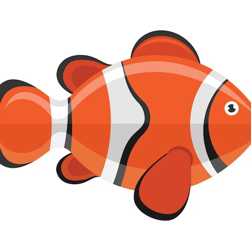 Clown Fish Free Clipart