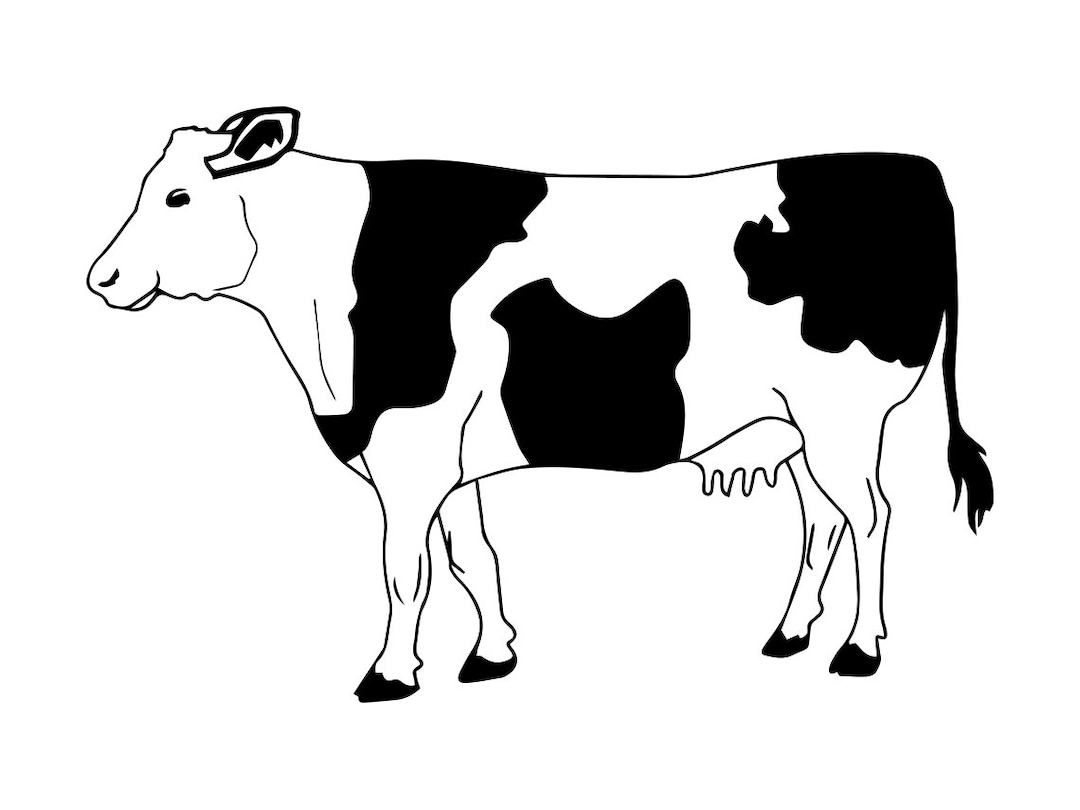Cow #5 SVG, Cow SVG, Cattle Svg, Cow Clipart, Cow Files for Cricut, Cow ...