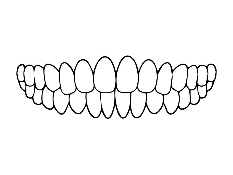 Teeth Outline SVG, Teeth Svg, Tooth Svg, Dentist Svg, Teeth Clipart ...