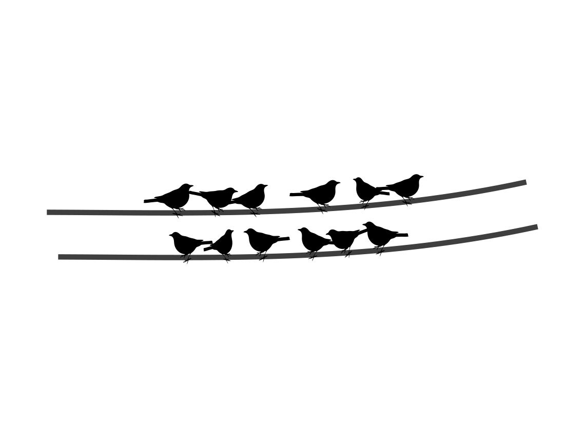 Birds Sitting on A Wire SVG Birds SVG Birds Clipart Birds - Etsy