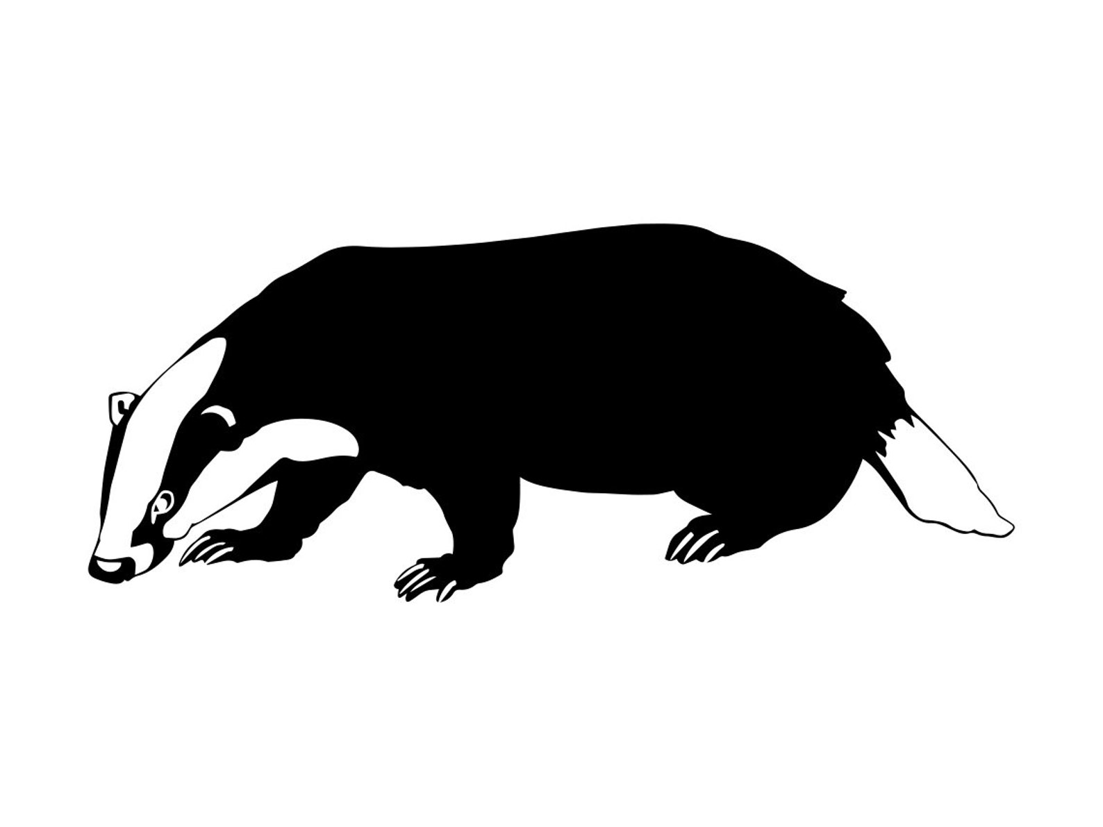 Badger SVG Badger Clipart Badger Files for Cricut Badger - Etsy
