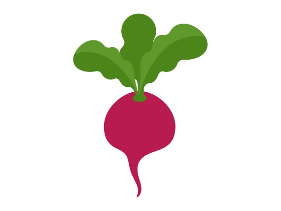 Beet SVG Vegetable Svg Beet Clipart Beet Files for Cricut - Etsy Australia