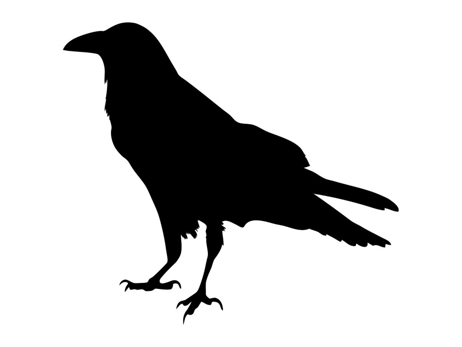 Raven Silhouette 2 SVG, Crow SVG, Raven SVG, Raven Clipart, Raven Files ...
