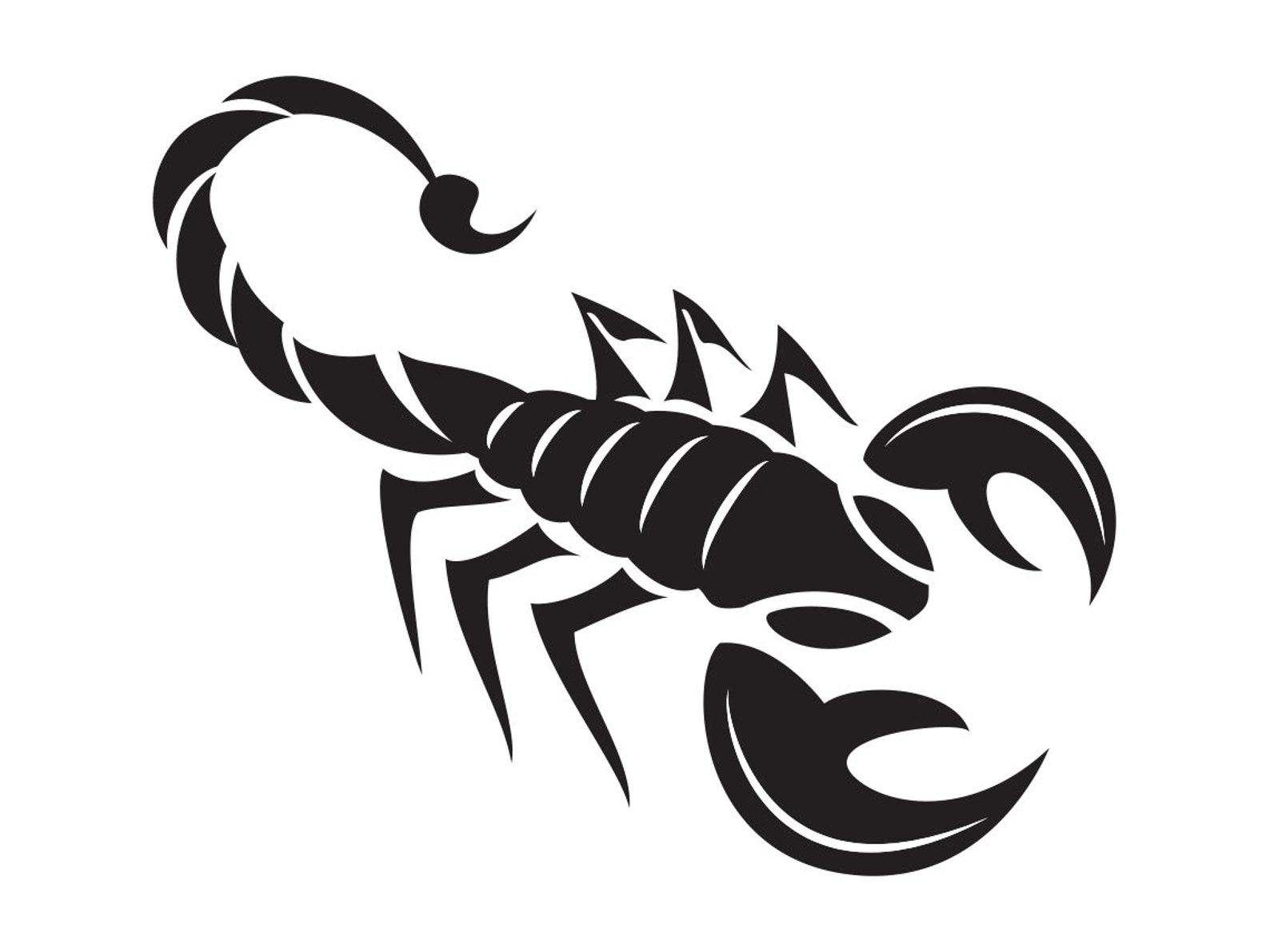 Scorpion SVG, Scorpion Clipart, Scorpion Files for Cricut, Scorpion Cut ...