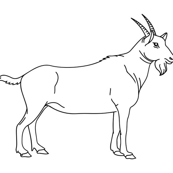 Goat Outline Clipart - Etsy
