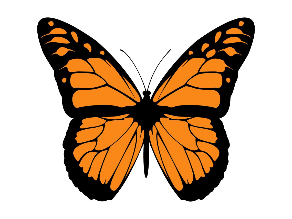 Monarch Butterfly SVG Butterfly SVG Monarch Butterfly - Etsy UK