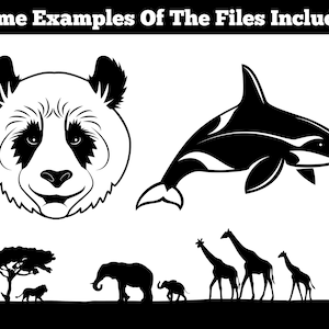 SVG Bundle, Entire Shop Bundle, Svg Bundles, PNG Bundle, DXF ...