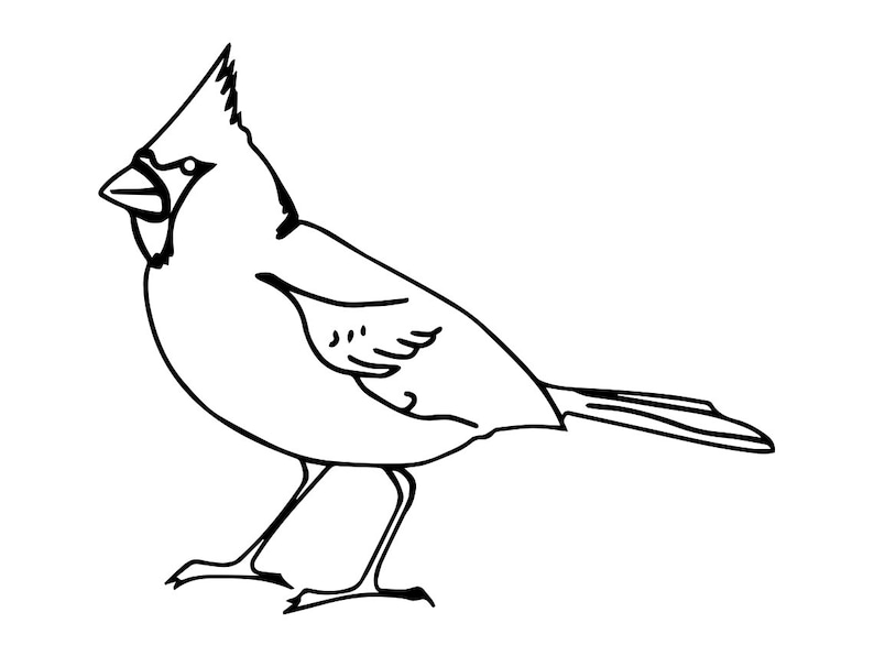 Cardinal Bird SVG, Cardinal Bird Clipart, Cardinal Bird Files for ...