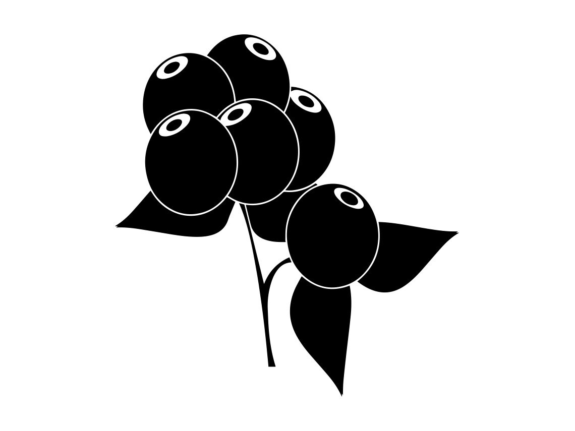Blueberry SVG Blueberry Clipart Blueberry Files for Cricut - Etsy