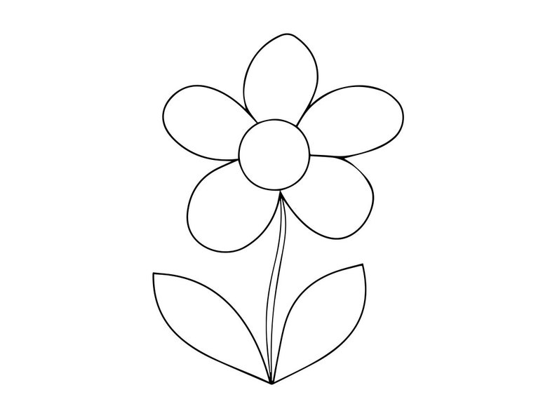 Daisy Flower Outline SVG, Daisy Flower Clipart, Daisy Flower Files for ...