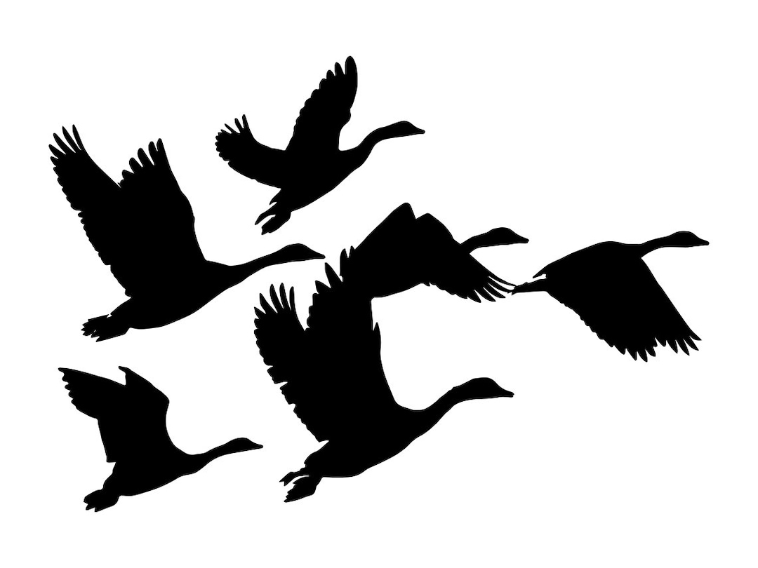 Flying Geese SVG, Geese Svg, Hunting Svg, Flying Geese Clipart, Geese ...