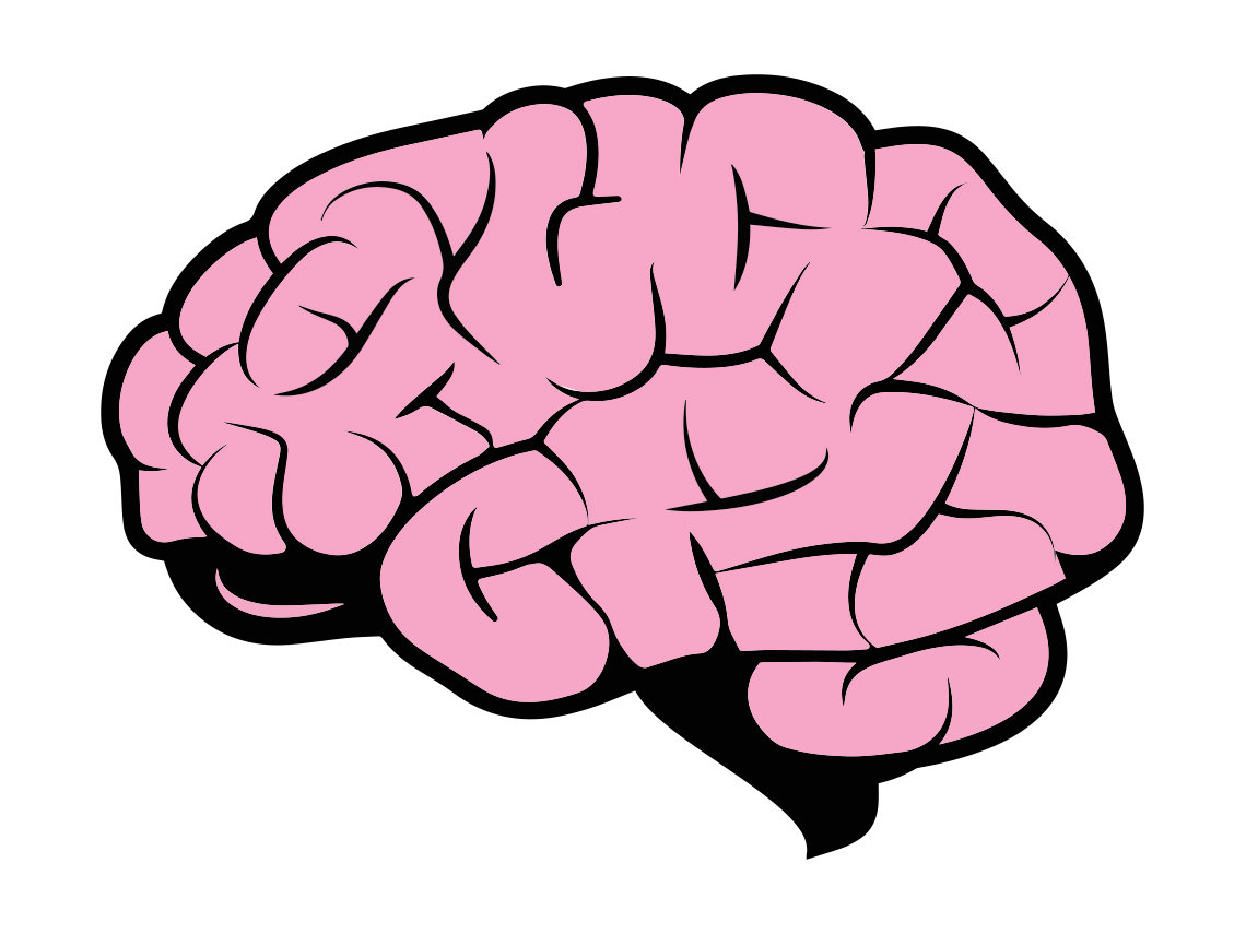 Brain SVG, Mind Svg, Brain Clipart, Brain Files for Cricut, Brain Cut ...