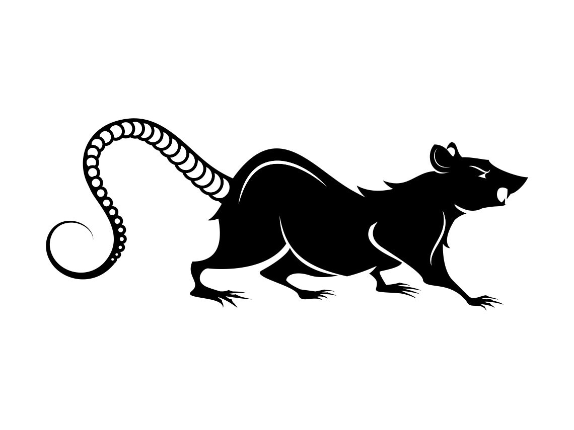 Rat 2 SVG, Rat Svg, Mouse Svg, Rodent Svg, Rat Clipart, Rat Files for ...