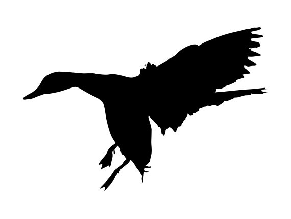 Duck SVG Duck Hunting Svg Duck Clipart Duck Files for - Etsy